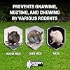 Amazon.com: Exterminator’s Choice Mice Repellent Spray - 1 Gallon ...