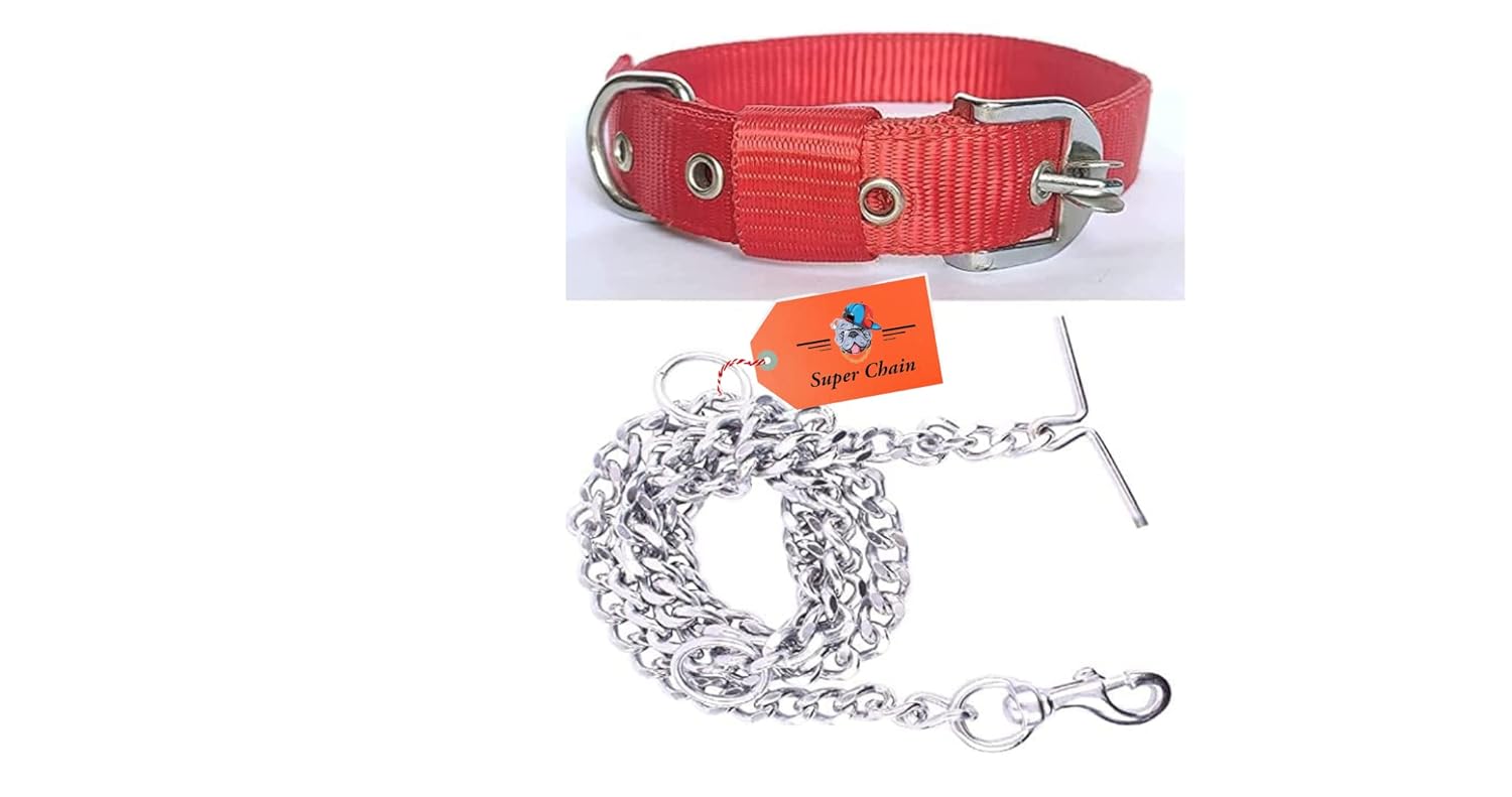 Super Chain Dog Belt Combo of Nylon Collar with Heavy Dog Chain 63 Inch ...