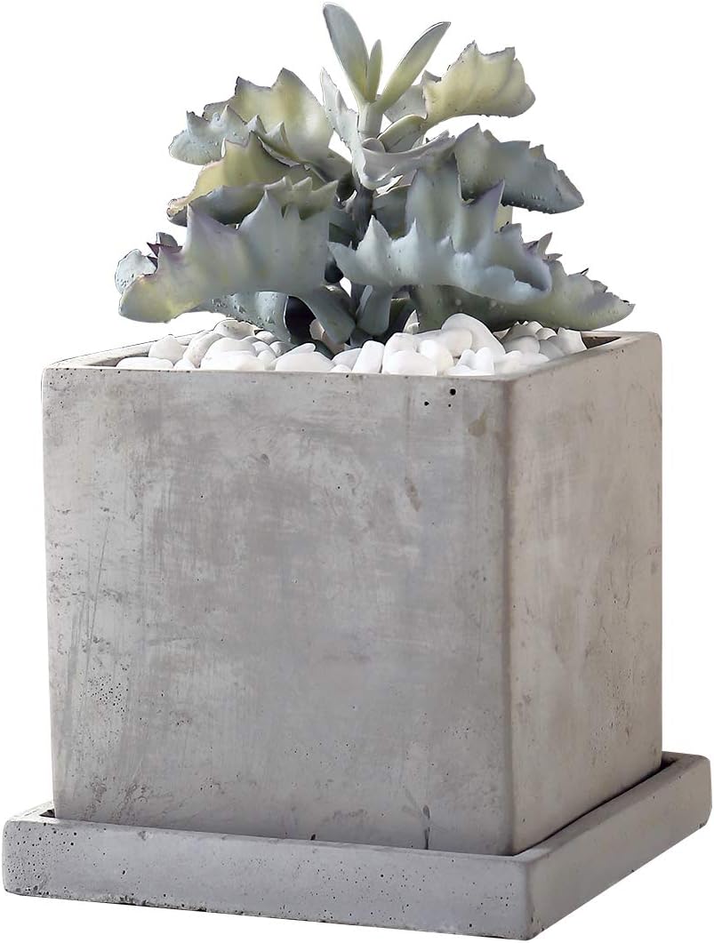 Amazon.com : Succulent Cactus Planter Pot, 4 Inch Cement/Concrete ...