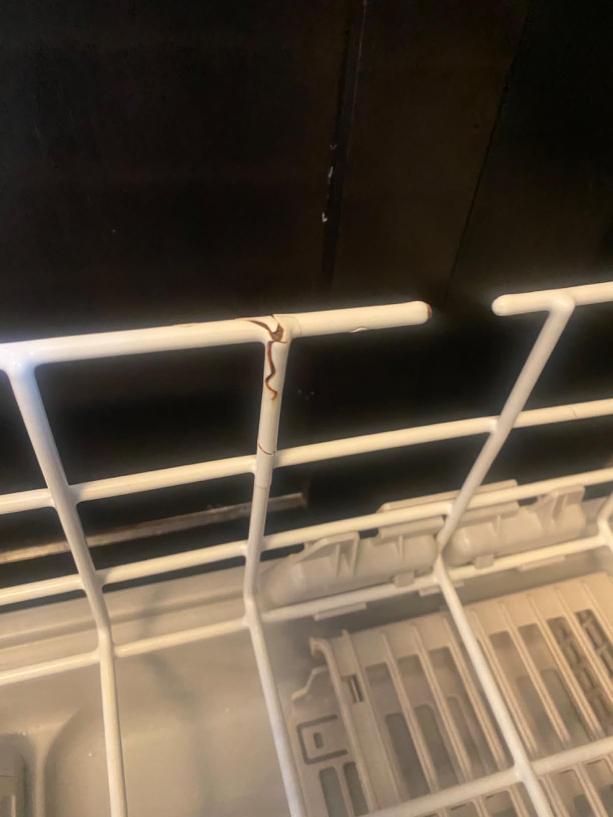 Amazon.com: Lower Rack for Whirlpool Dishwasher, AP4303664, W10161215 ...