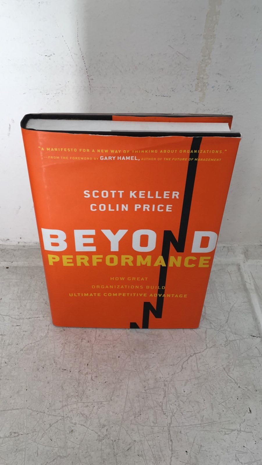 Beyond Performance: How Great Organizations Build Ultimate Competitive ...