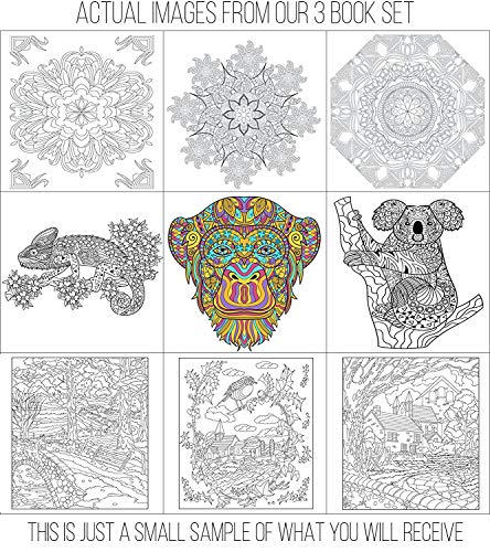 Adult Coloring Books Set $19.97(50% Off) - Mojosavings.com
