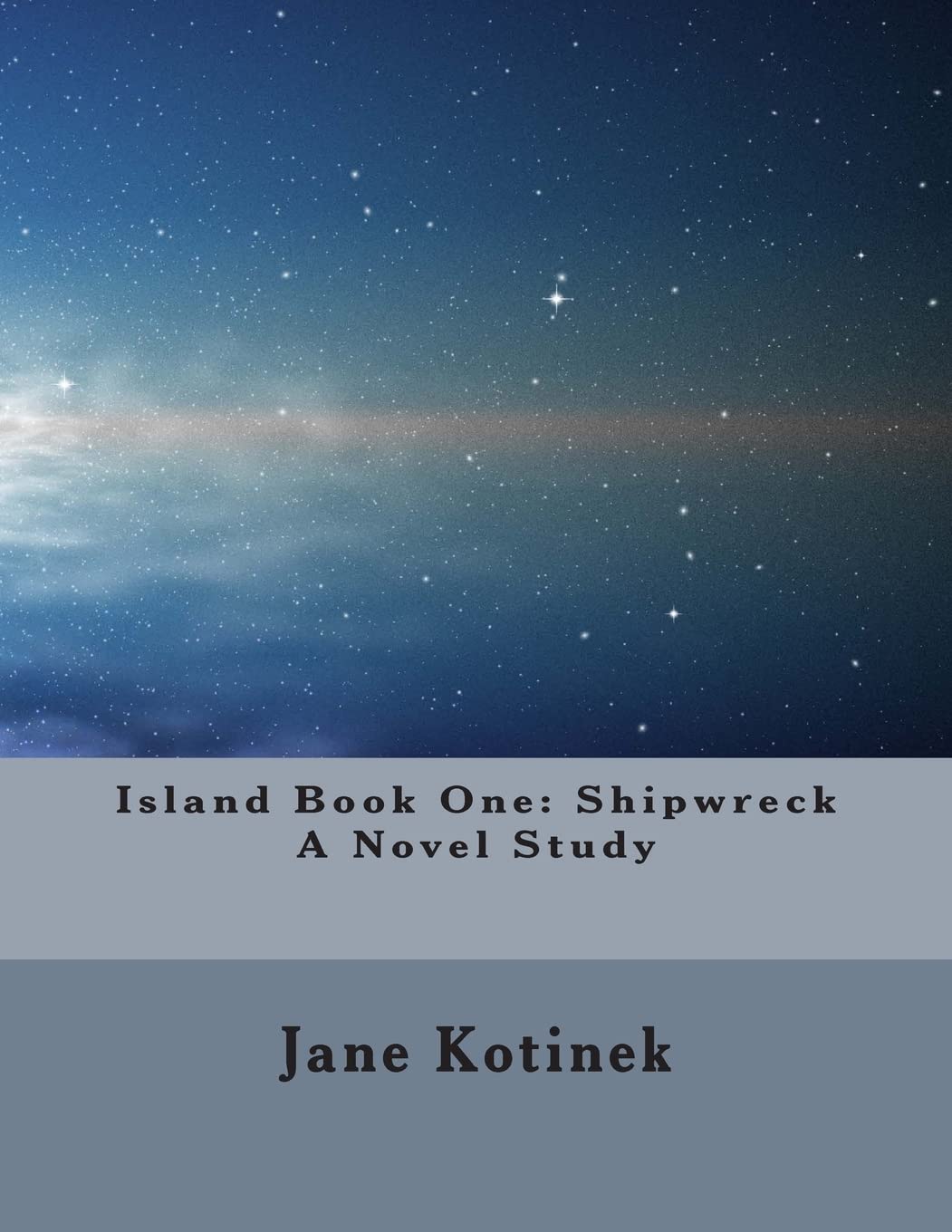 Island Book One: Shipwreck A Novel Study: Kotinek, Jane: 9781478267140 ...