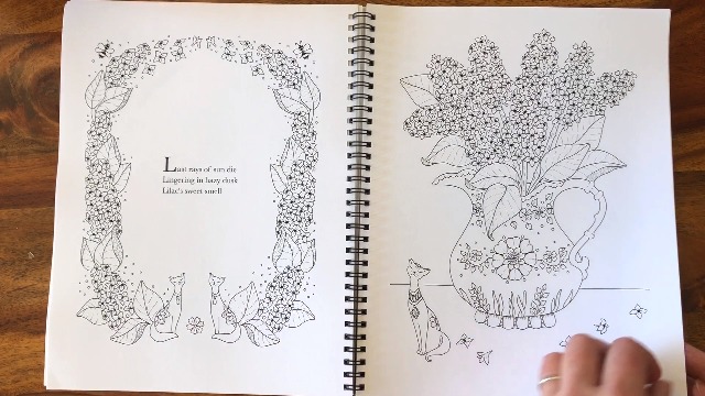 Watch Flip-through of Flower Haiku Coloring Book on Amazon Live