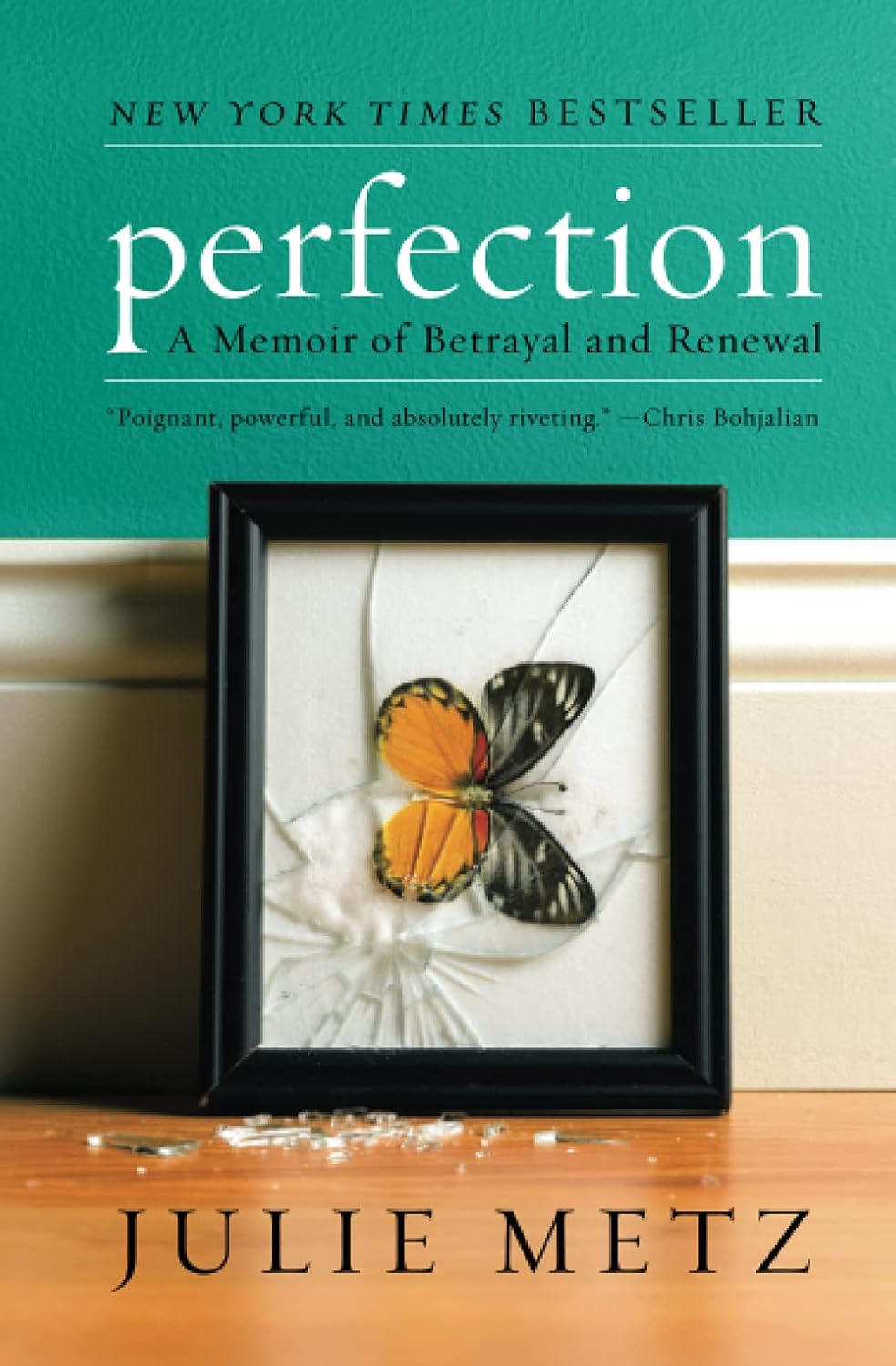 Perfection: Metz, Julie: 9781401341350: Amazon.com: Books