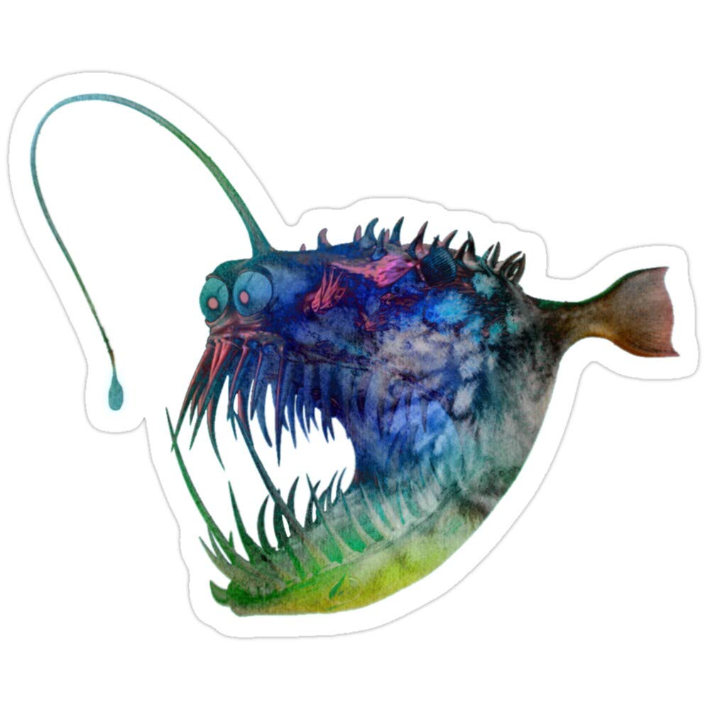 Angler Fish Skeleton Drawing