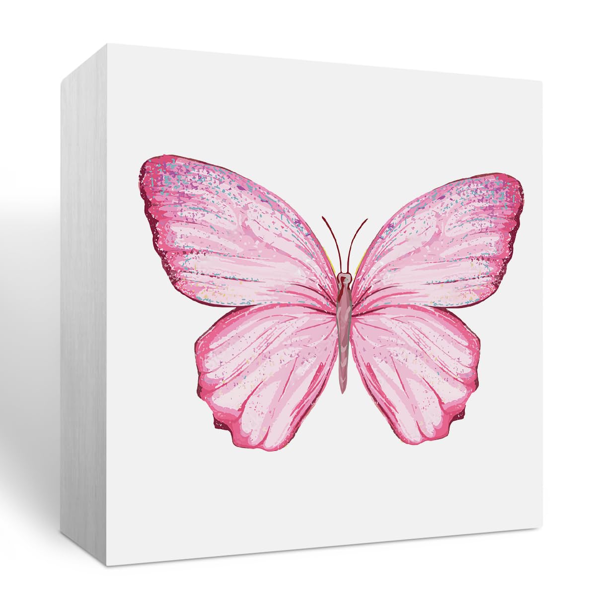 Amazon.com: Henhesaha Butterfly Gifts Preppy Decor Rustic Preppy ...