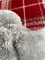 The Sooty Show Sweep Hand Puppet : Amazon.co.uk: Toys & Games