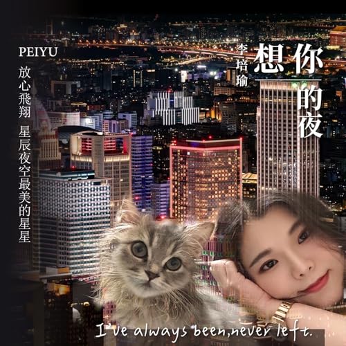 Amazon Music - 李培瑜 PEIYUの想你的夜 - Amazon.co.jp