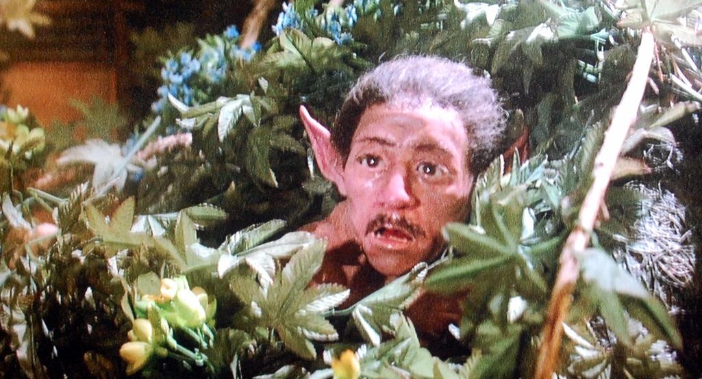 Amazon.com: Hobgoblins [DVD] : Tom Bartlett, Paige Sullivan, Steven ...