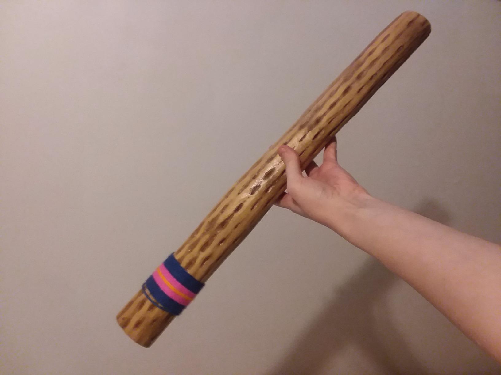 Amazon.com: Rhythm Band RB1216 20-Inch Chilean Rainstick : Musical ...