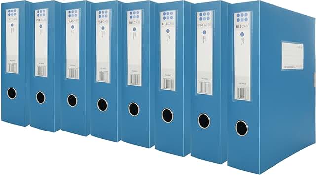 Amazon.co.uk: File Boxes - File Boxes / File Sorters & Storage ...