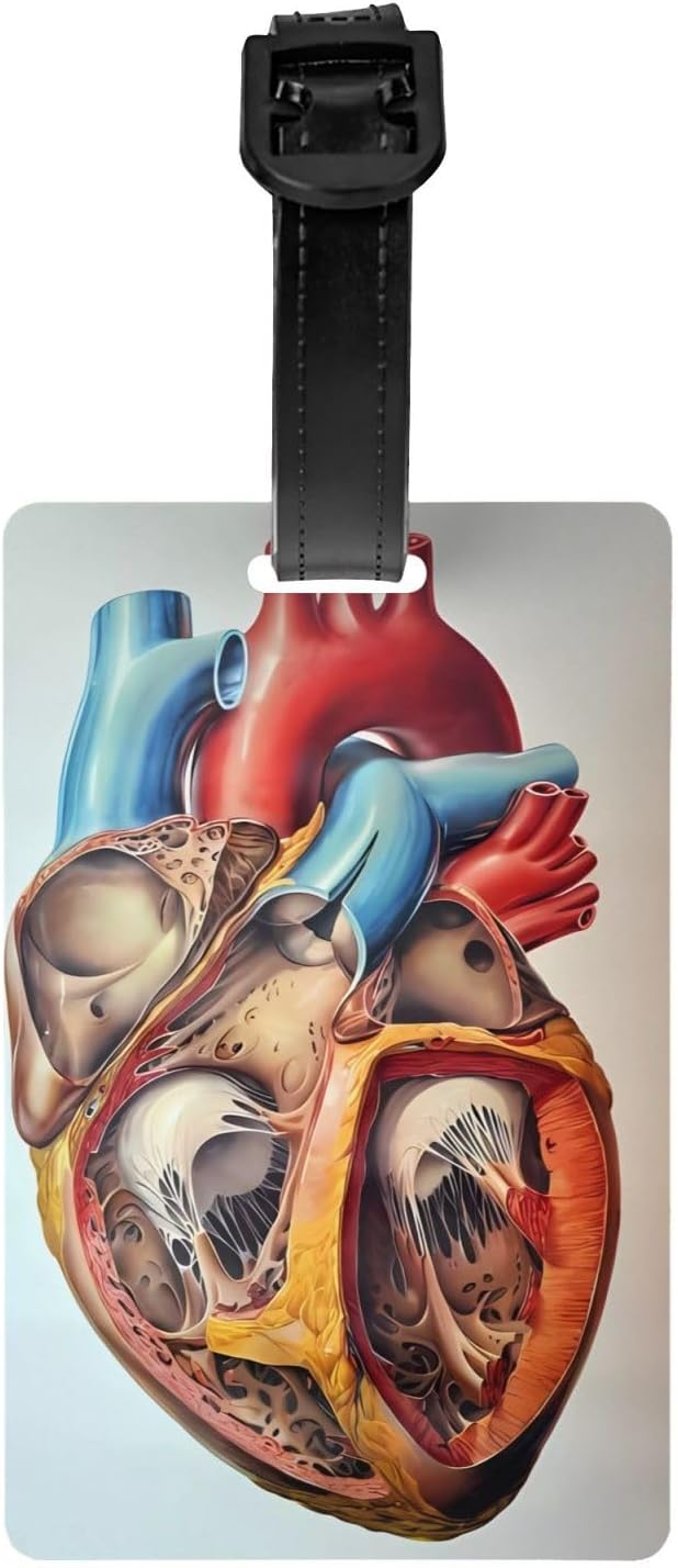 Human Anatomy Heart Chart Luggage Tags – Secure ID Identifiers ...