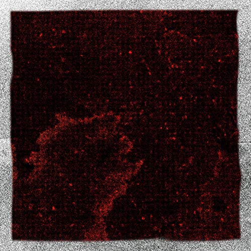 Inversions by Riley Kerr on Amazon Music - Amazon.com