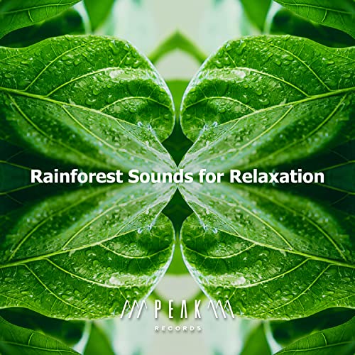 Amazon.com: Rainforest Sounds for Relaxation : Rainforest Soundscapes ...