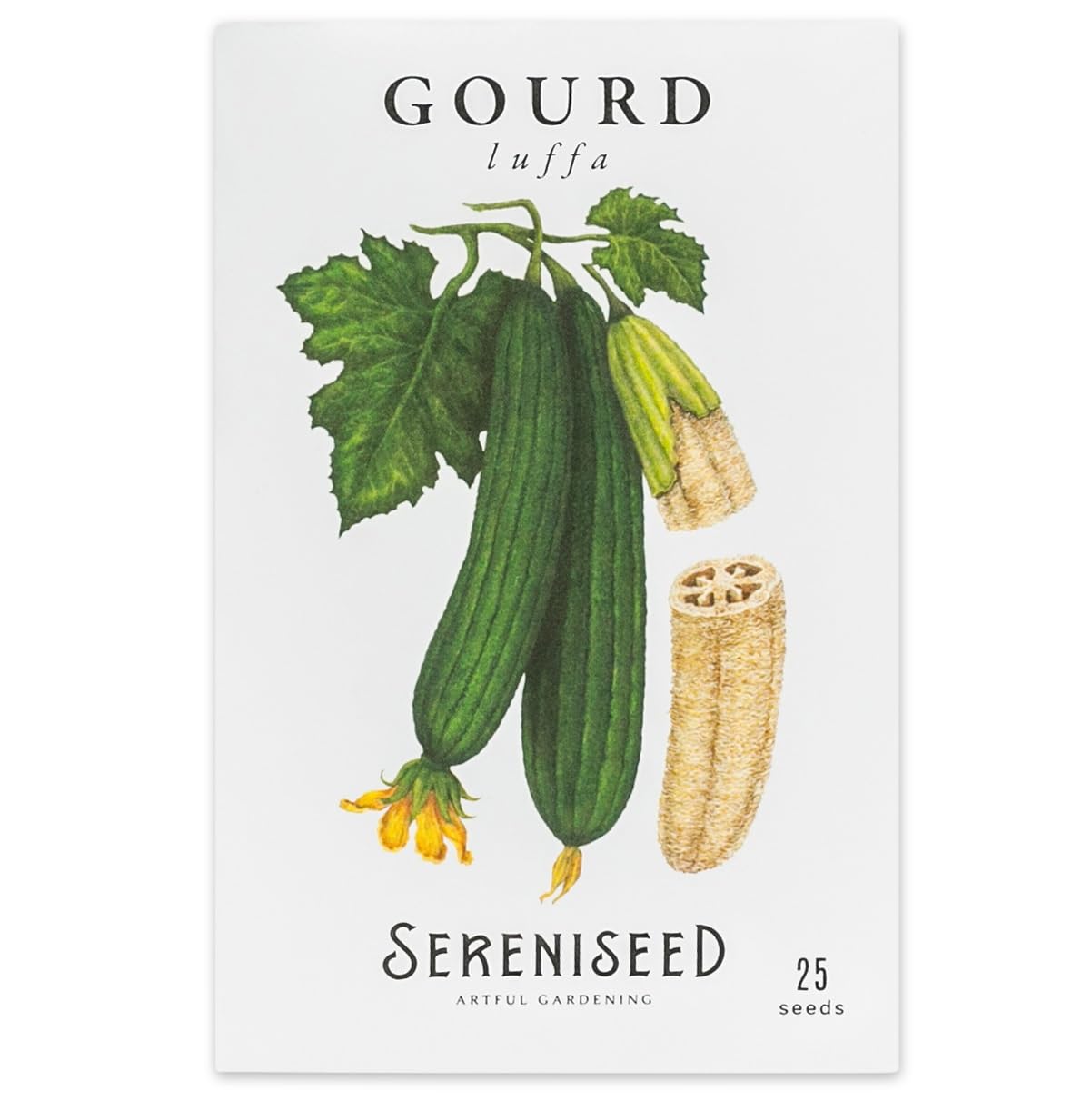 Amazon.com : Sereniseed Luffa Gourd Seeds (25 Seeds) : Patio, Lawn & Garden