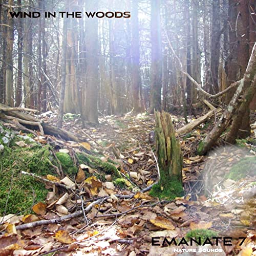 Wind In The Woods by Emanate 7 on Amazon Music Unlimited