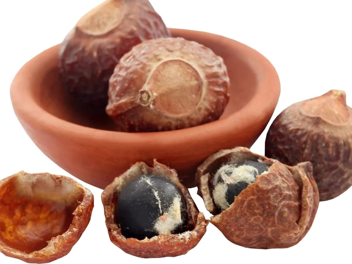 EasySeeds™ Reetha, Soap Berry, Soap Nut, Sapindus trifoliatus,Aritha, washnut Seeds for shampoo ...