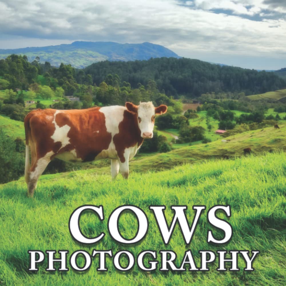 Buy Cows PhotoBook: An Amazing Collection With Compelling Photos Of ...