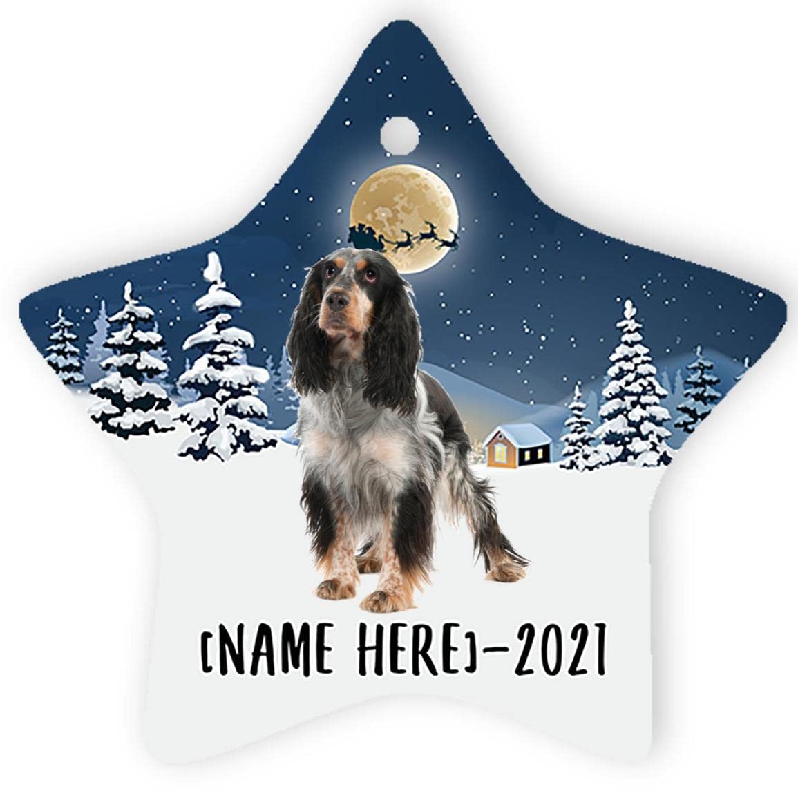 Tri Colored English Springer Spaniel Puppies