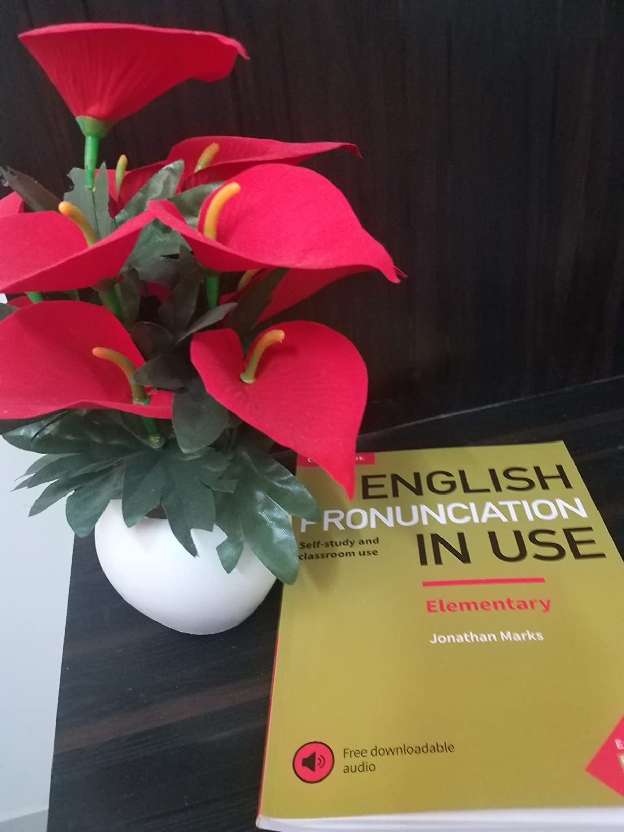 Buy English Pronunciation in Use, Elementary Book Online at Low Prices ...