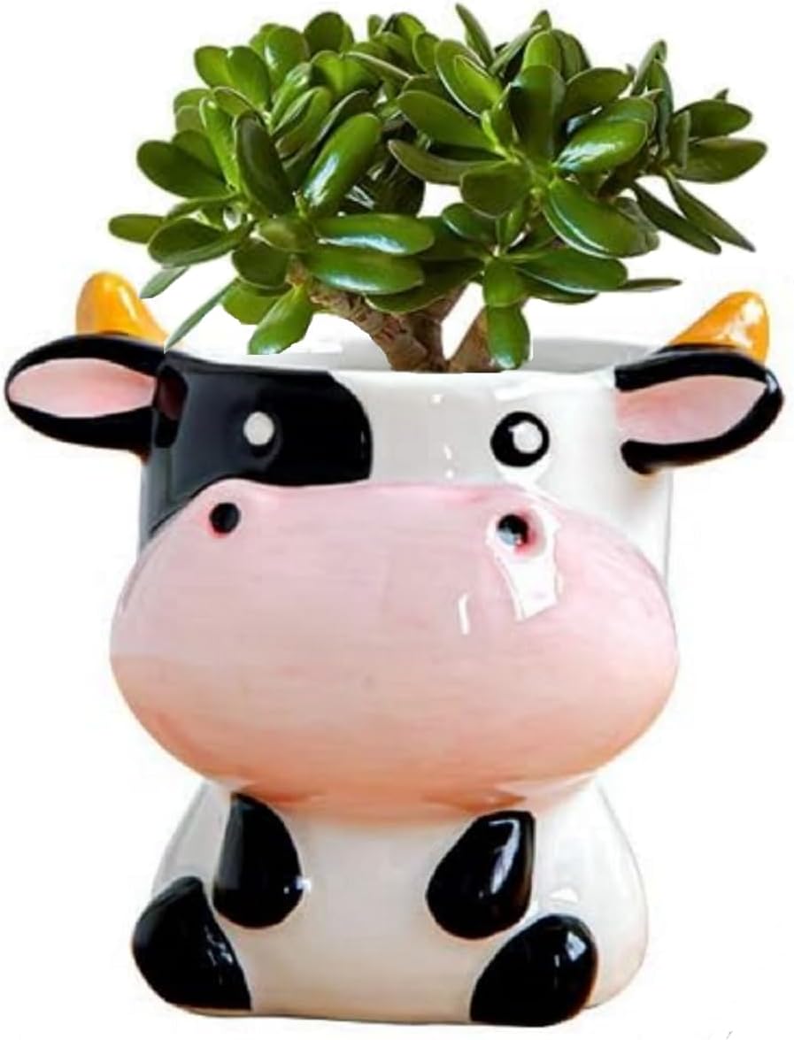 Amazon.com: Cosmos Gifts Fine Ceramic Country Barnyard Cow Candy Dish ...