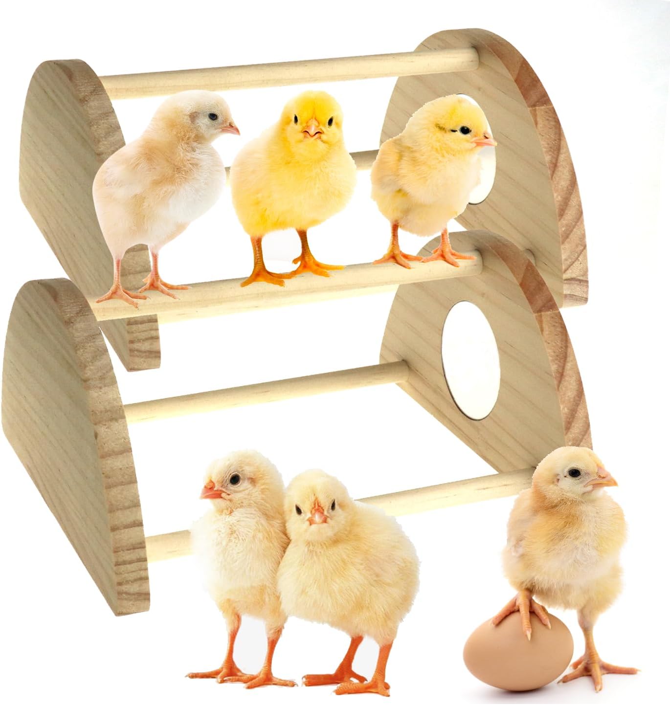 Amazon.com : SORWATEE 2 Pack Chicken Perch with Mirror, Strong Chick ...