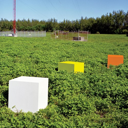 Amazon.co.jp: Plastic Explosives : The Caribbean: デジタルミュージック