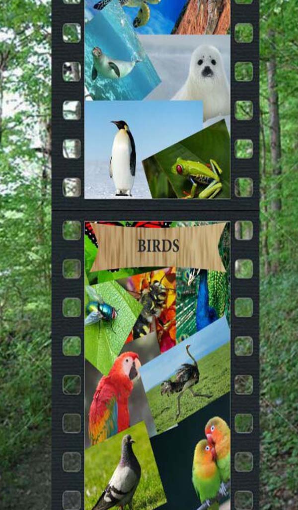 Aplicación Animals world for kids en Amazon Appstore