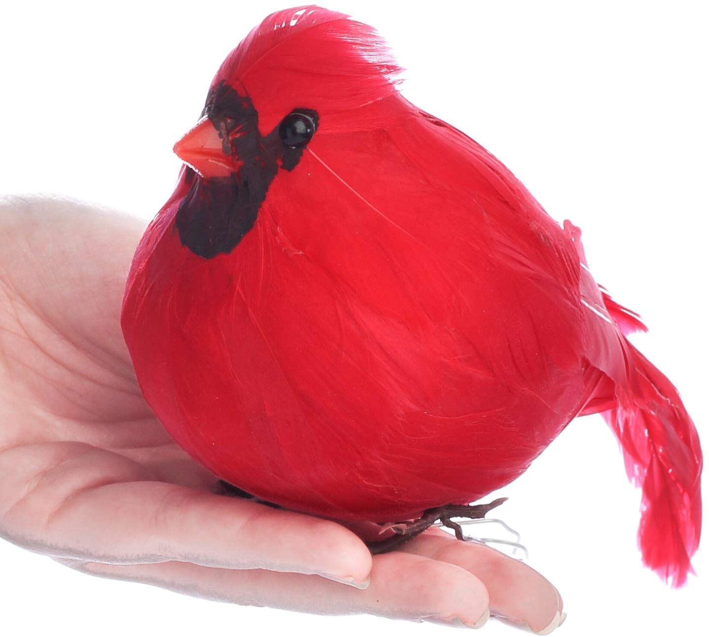 Amazon.com: Factory Direct Craft Pack of 3 Large Bright Red Plump Fat ...