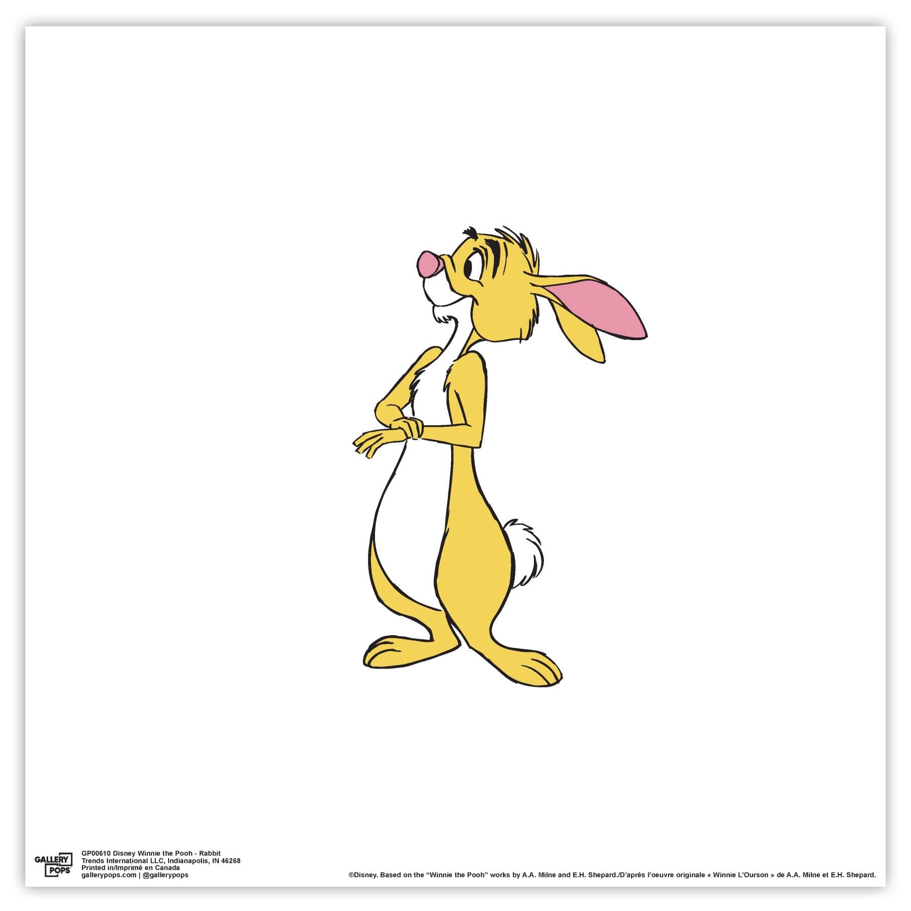 Winnie The Pooh Characters Rabbit