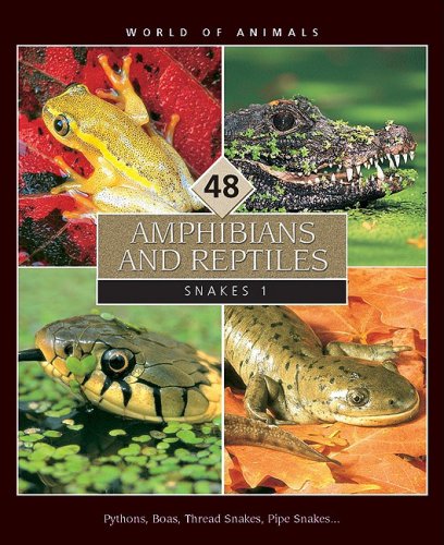 World of Animals, Set 5: Amphibians and Reptiles : Amazon.in: Books
