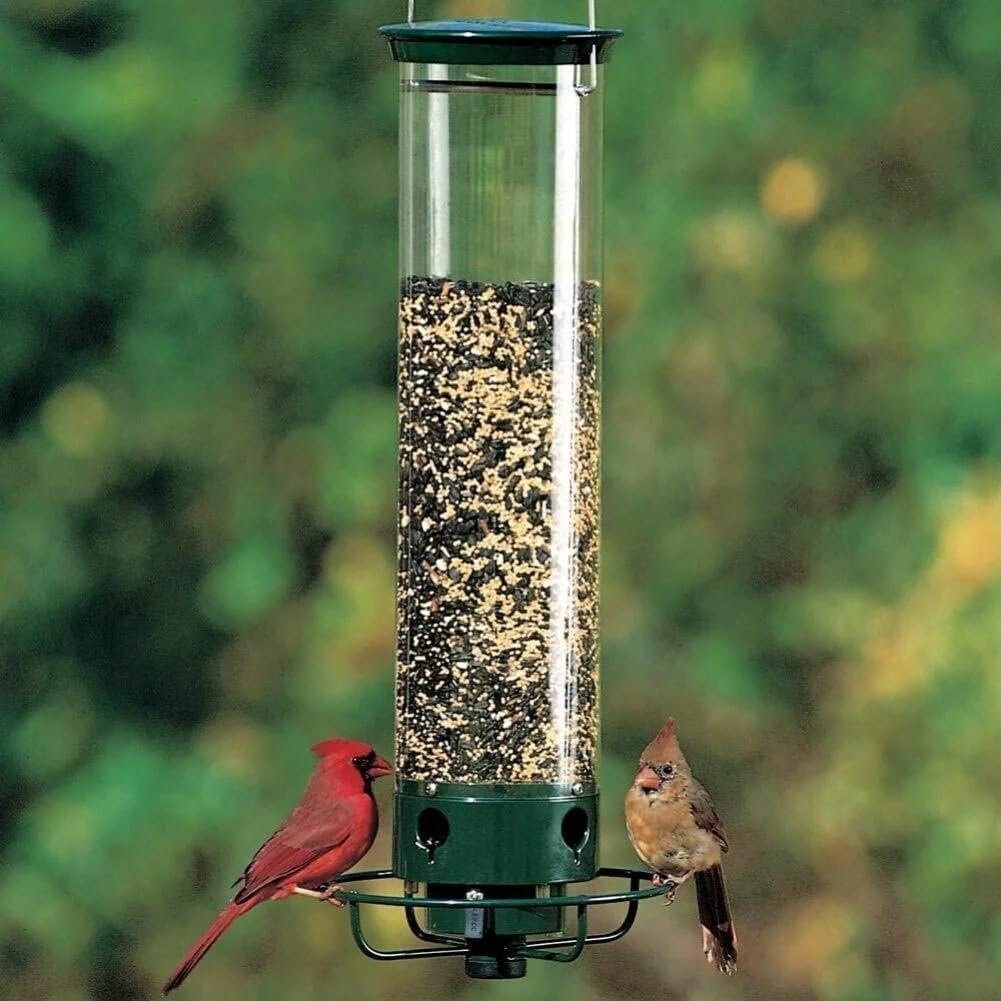 Amazon.com : Squirrel-Proof Bird Feeder,Spinning Squirrel Proof Bird ...