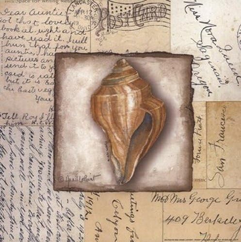Amazon.com: Conch Shell Poster Print by Annie Lapoint (8 x 8): Prints ...