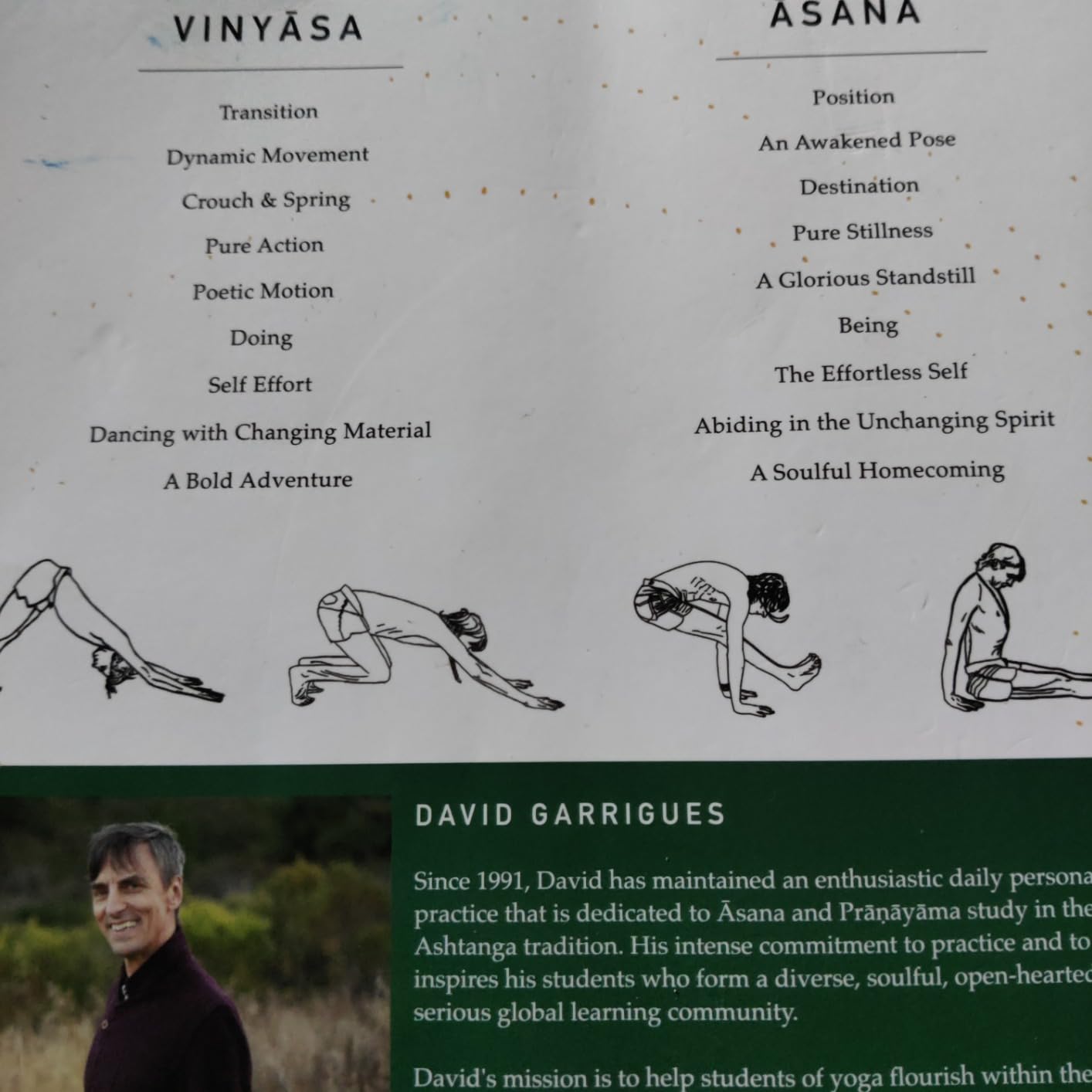 Ashtanga Yoga Vinyasa: Movement, Breath, and Posture in the Primary ...