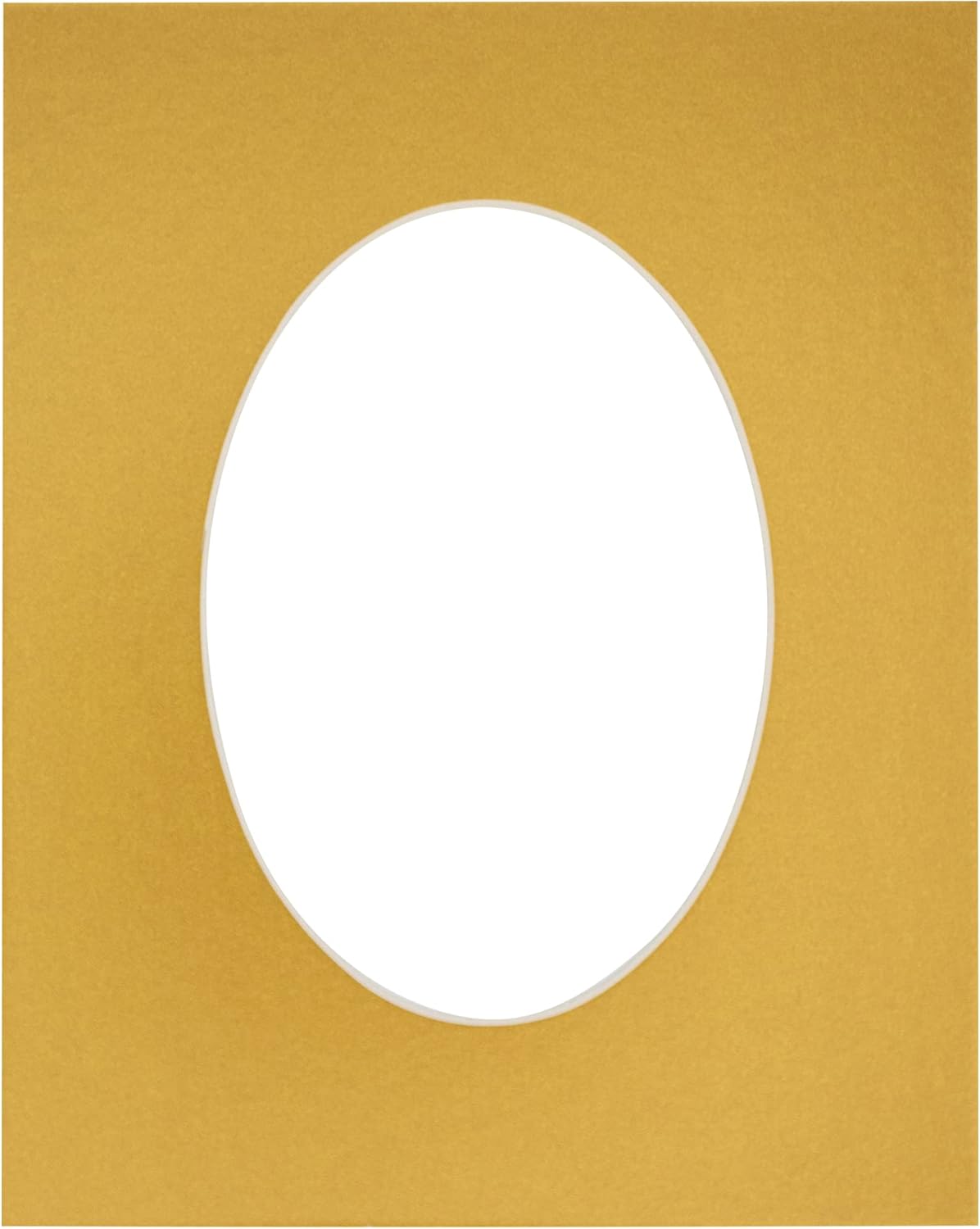 Amazon.com: 11x14 Mat Bevel Cut for 8x10 Photos - Precut Metallic Gold ...