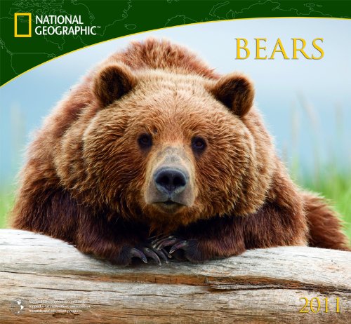 2011 Bears National Geographic Calendar: Zebra Publishing Corp ...