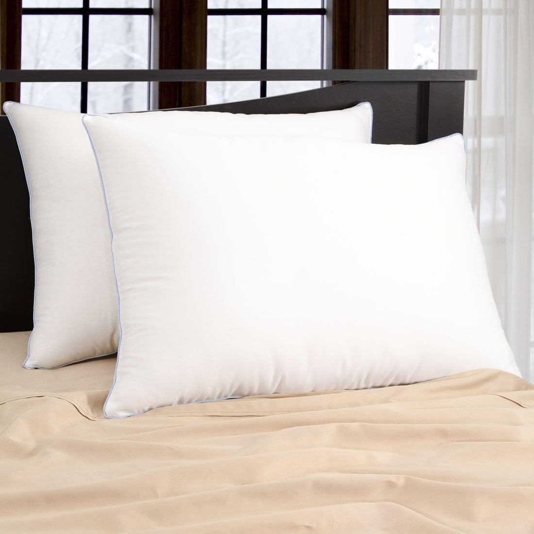 Amazon.com: BioPEDIC Comfort-Plus Cool Gel Fiber Pillow Pair,White ...