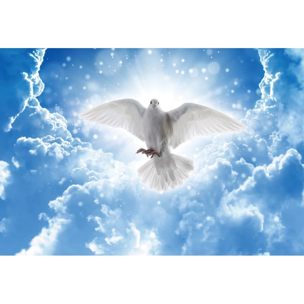 Amazon.com : Laeacco 7x5ft Peace Dove Backdrop Heaven Light Blue Sky ...