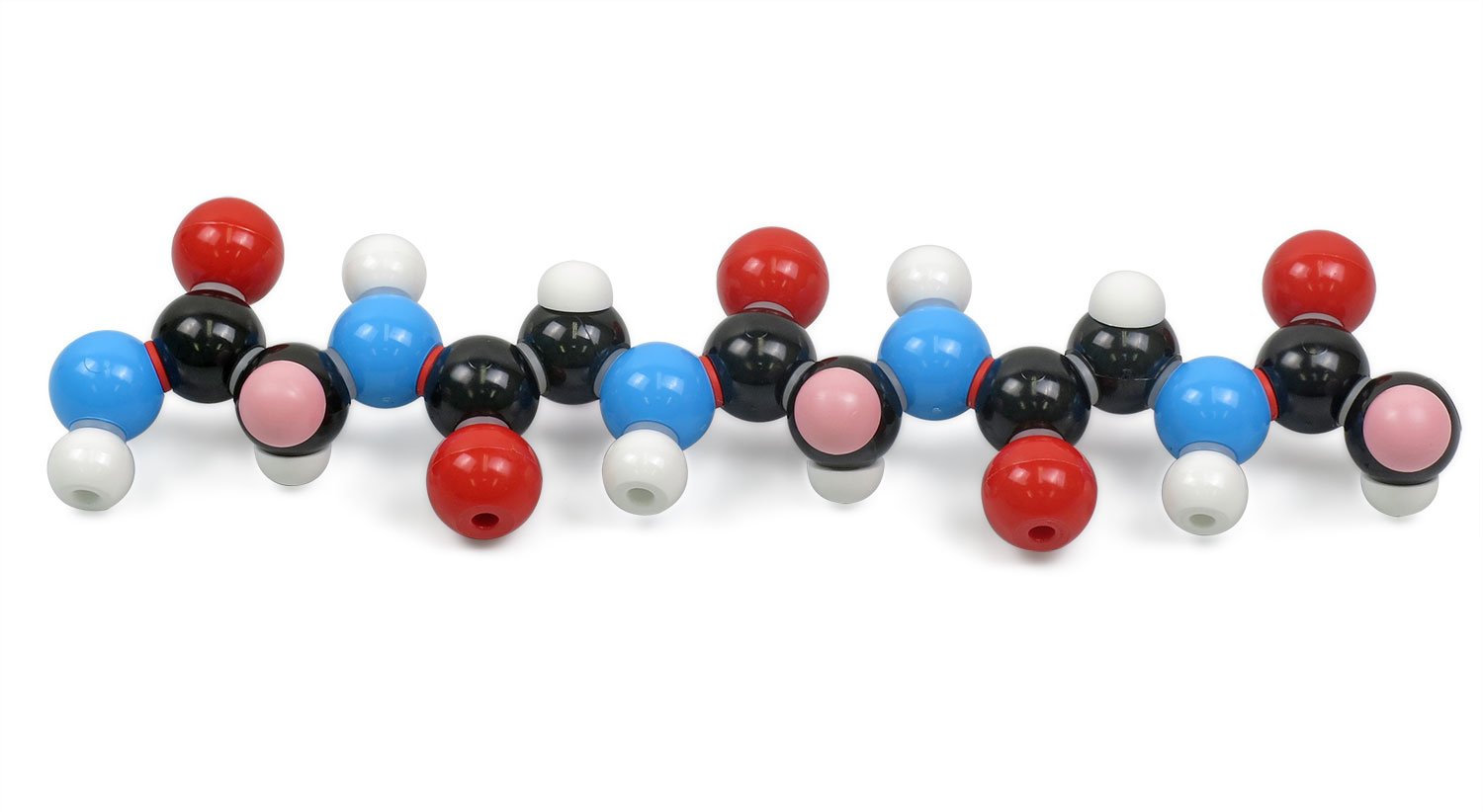 Amazon | molymod モリモッド ポリペプチド分子模型組立キット | プラモデル 通販