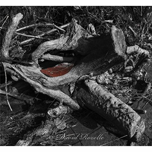 Amazon Music - David RozelleのStudio Time.. [Explicit] - Amazon.co.jp