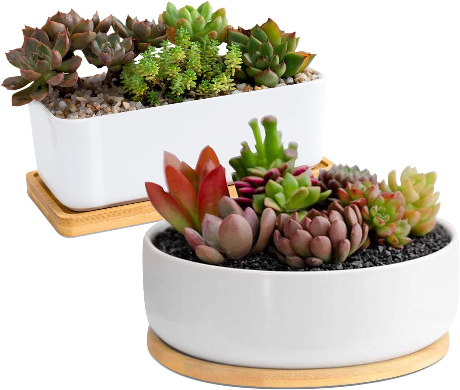 Succulent Pots with Bamboo Tray - Cactus Pots Containers for Succulents ...