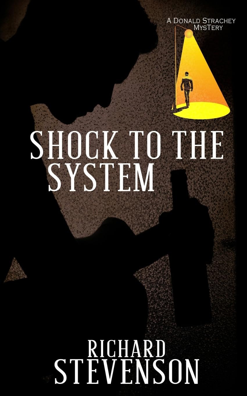 Shock to the System (A Donald Strachey Mystery): Stevenson, Richard ...