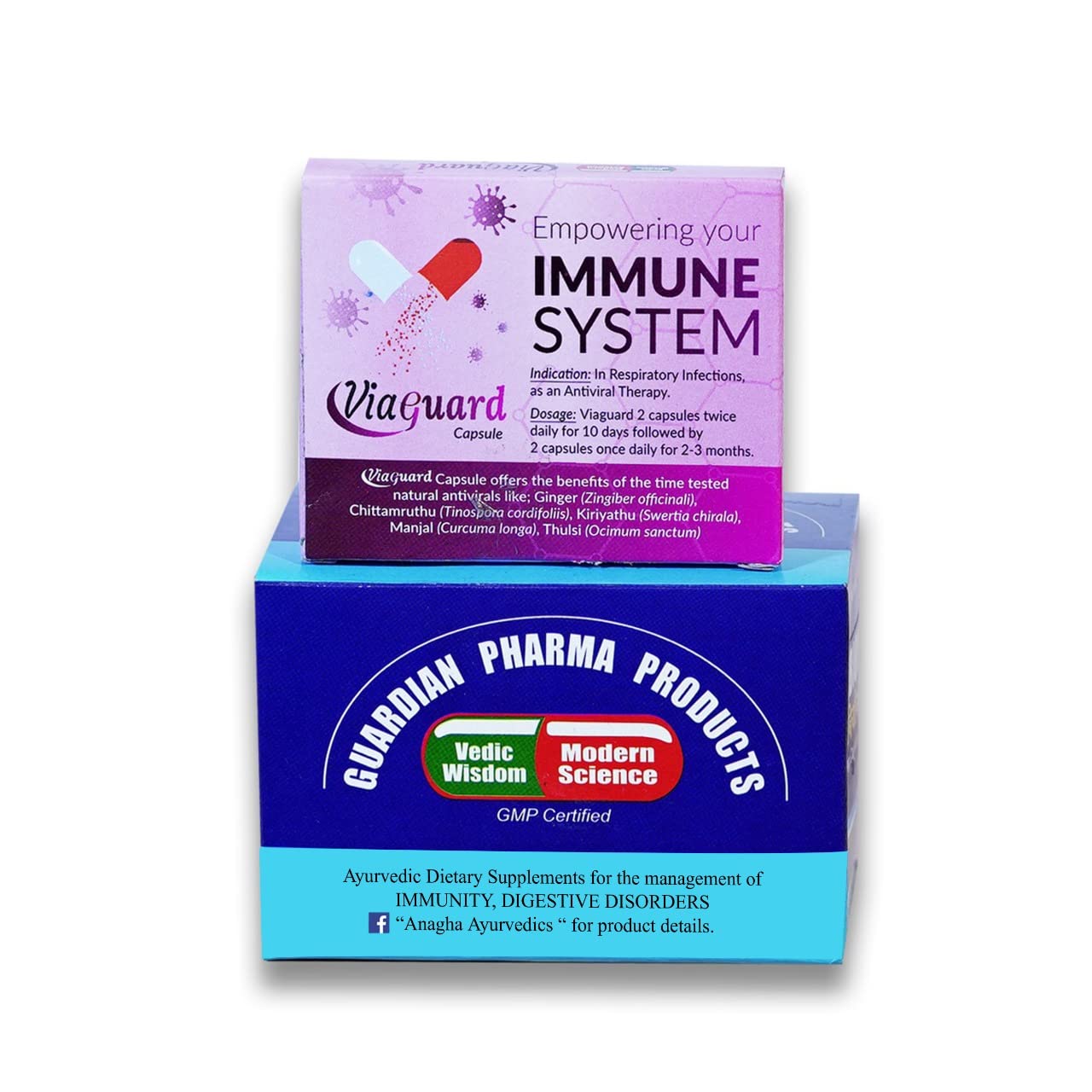 Buy VIAGUARD Capsule - Guardian’s Ayurvedic Dietary Supplement for ...