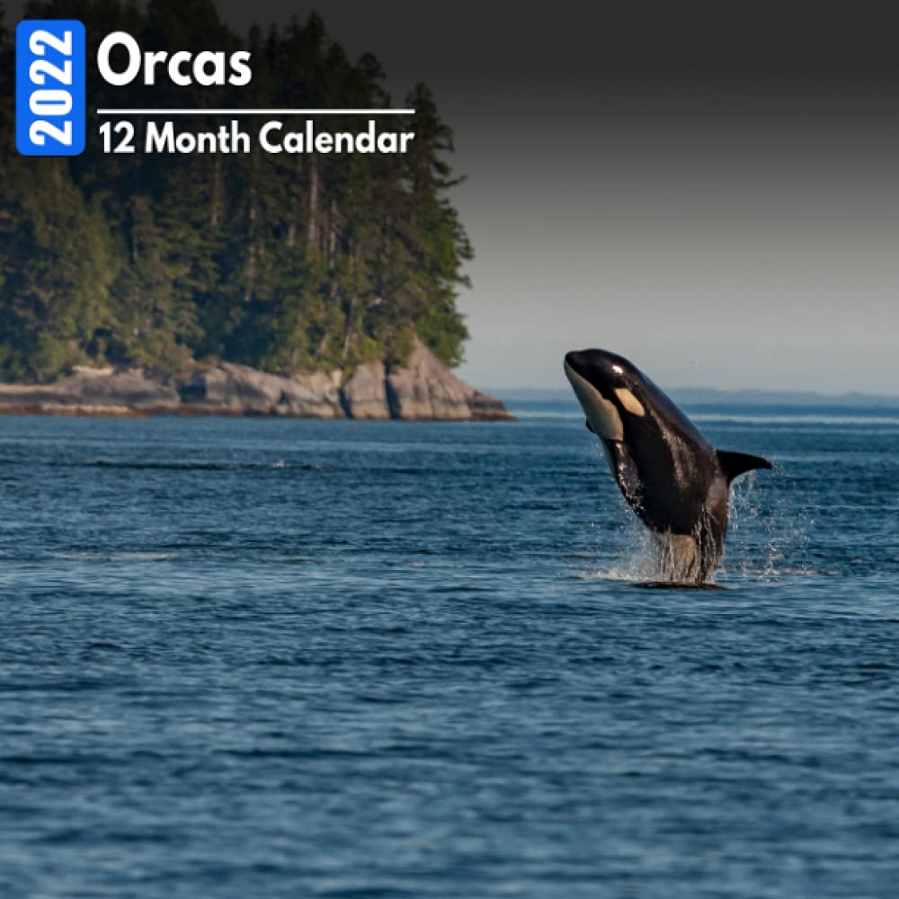 Buy 2022 Orcas: Cute Orca Photos Mini a Monthly Square Book Planner ...