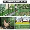 Amazon.com : QueenBird Upgraded Plastic Chicken Wire Fence Mesh - 15 ...