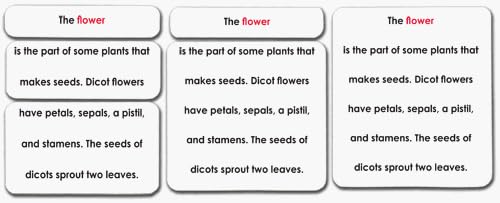 Amazon.com: "Parts of" the Flower Definition Cards : Maitri Learning