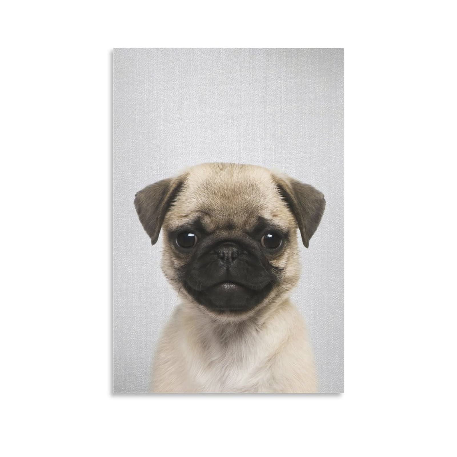 Amazon.com: Cute Pug Wall Decor, Funny Dog Poster Canvas Art Poster And ...
