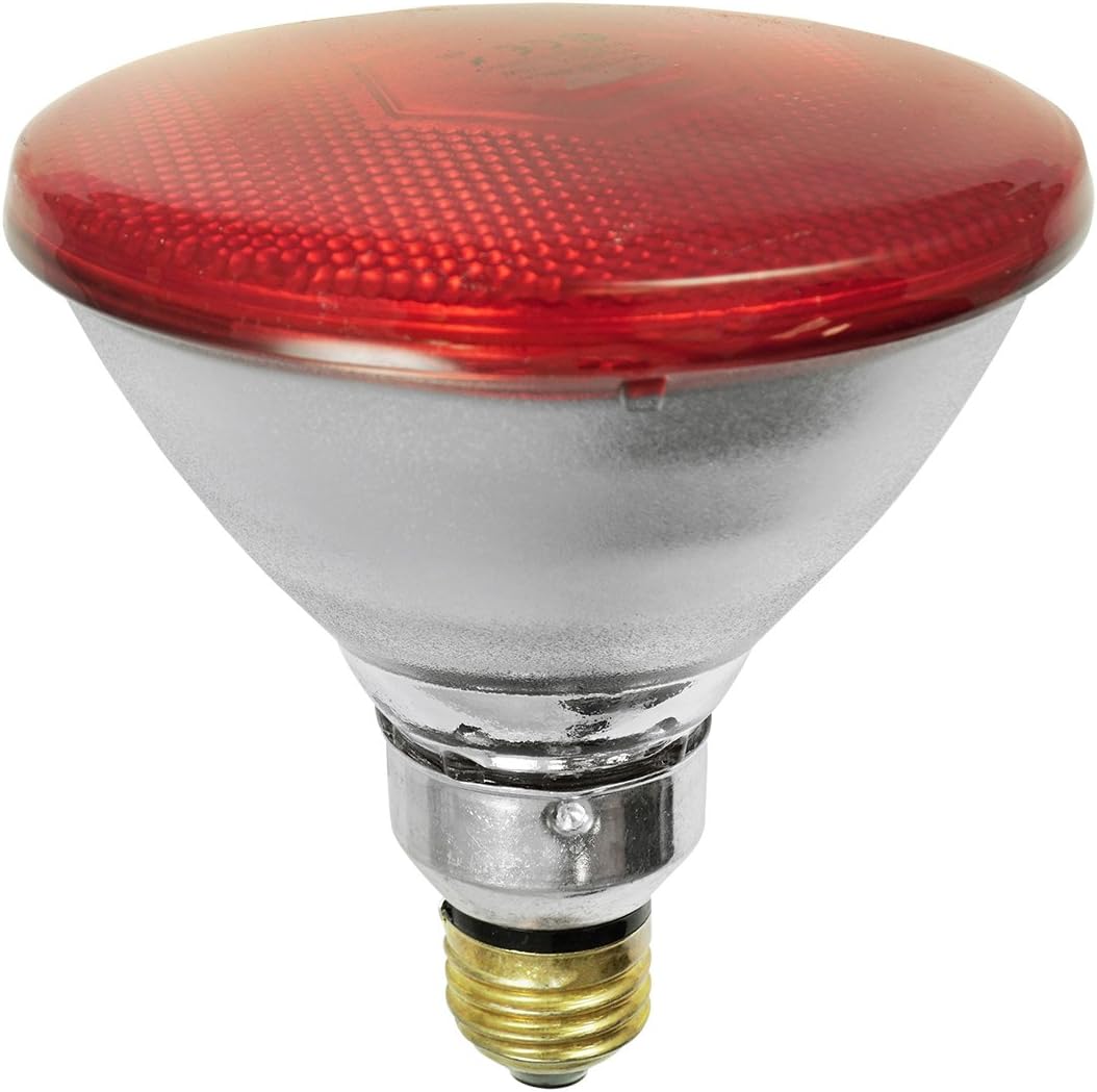 Norman Lamps 175PAR38/IR/RED-230V - Volts: 230V, Watts: 175W, Type ...