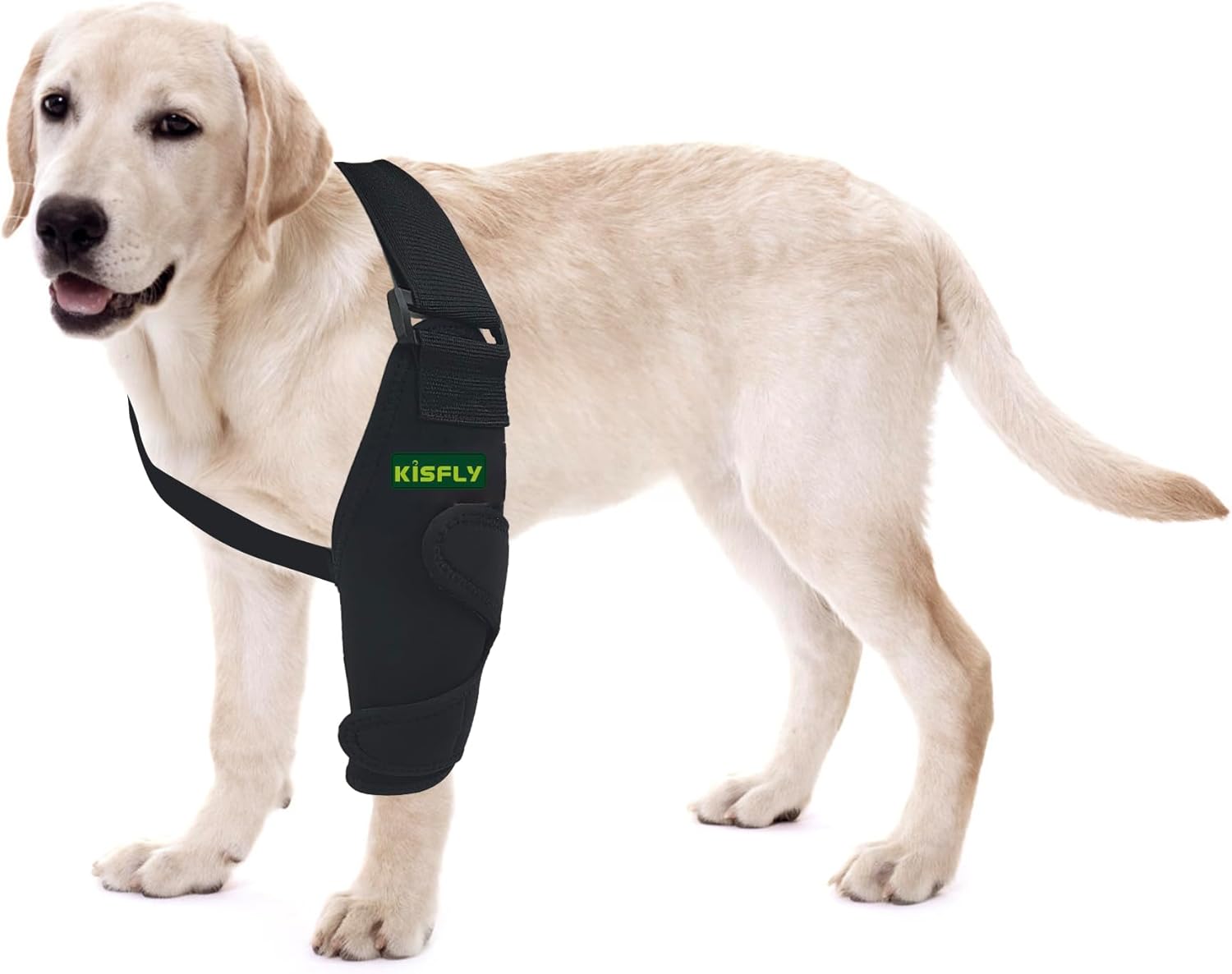 Amazon.com : KISFLY Dog Elbow Brace Protector for Canine Elbow and ...